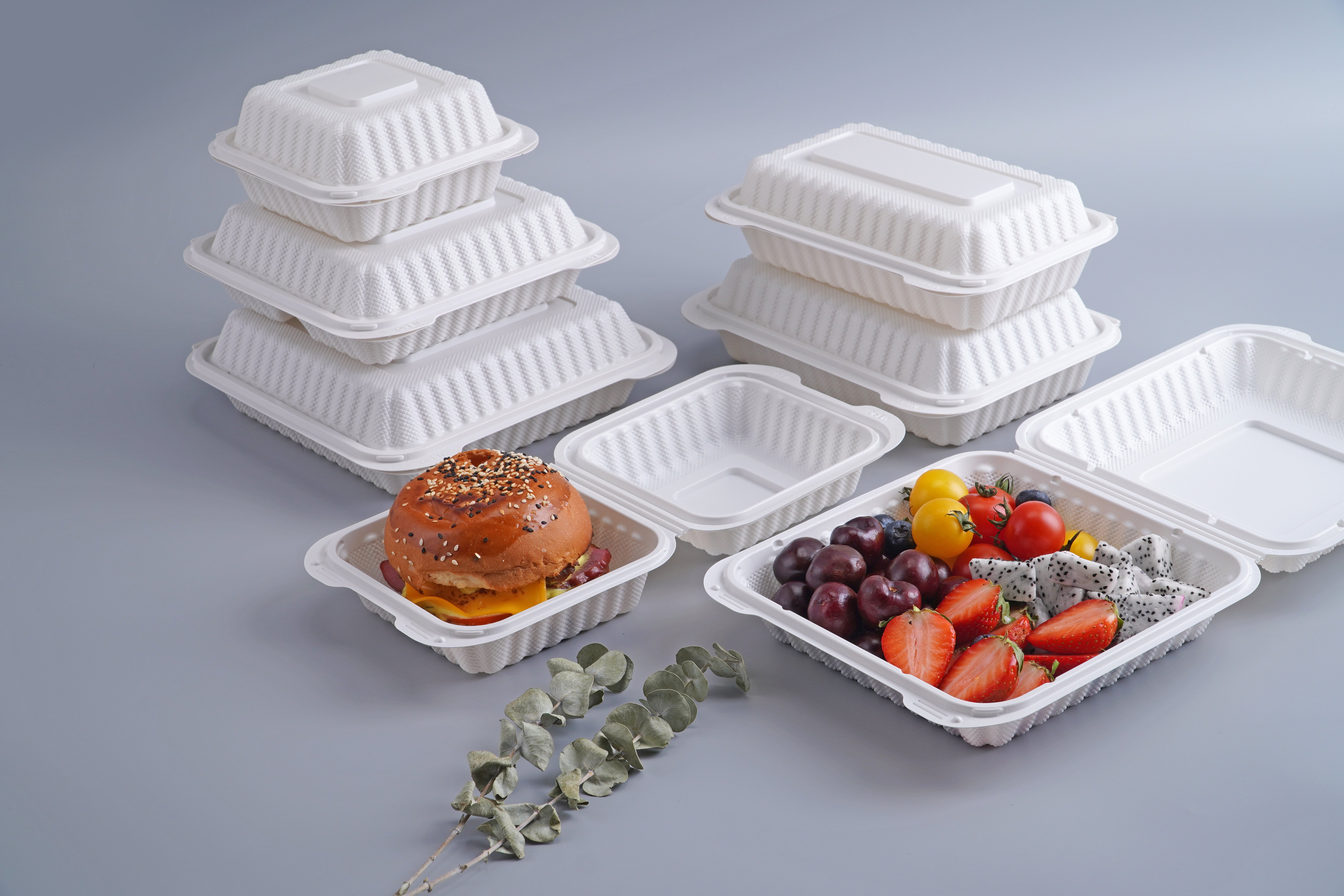 Plastic Hinged Take-Out Container – X PACK